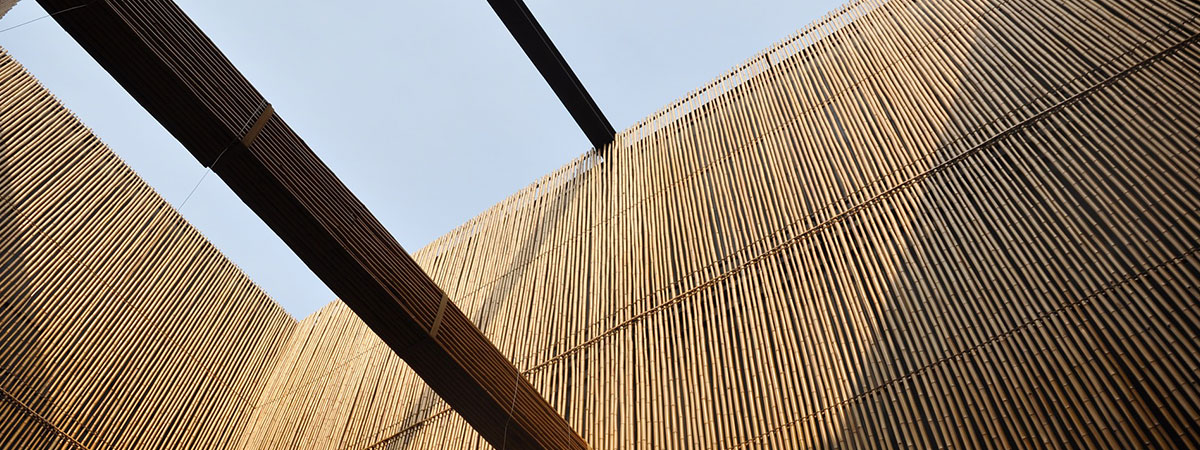 Bamboo: The 'Green Steel' of the 21st Century? - Blog
